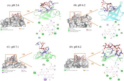 The Close‐range 3d Partial Map And 2d Interaction Schematic Diagram