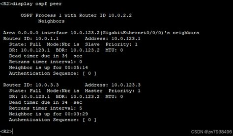 Ospf 单区域实验在ar3口里输入ospf Csdn博客