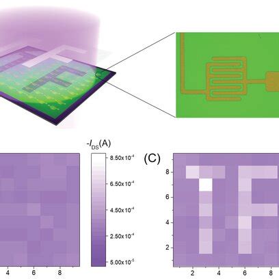A Schematic Illustration Of The Photodetector Array And Typical Device Download Scientific