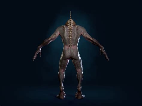 New Portrait Comp R Hoi4