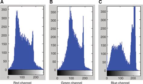 Histogram Distribution Of The Original Image Download Scientific Diagram