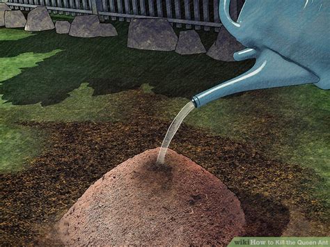 4 Ways To Kill The Queen Ant Wikihow
