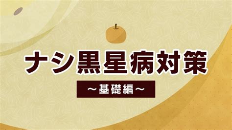ナシ黒星病対策 基礎篇 YouTube