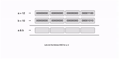 A Guide To Master Bit Manipulation For Coding Interviews DEV Community