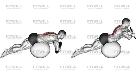 Weighted Crunch Exercise Guide Techniques Benefits How To Muscles Weighted Crunch Exercise Guide Techniques Benefits How To Muscles