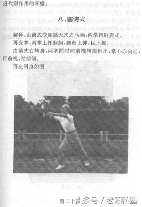 老拳譜閱讀萬籟聲秘傳少林八式 每日頭條