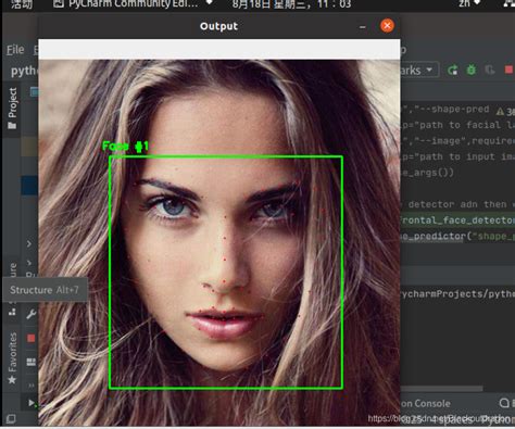 表情识别（一）——使用dlib、opencv和python识别面部特征基于dlib库的人脸表情分析 Csdn博客