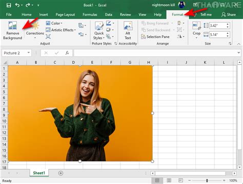 วิธีลบพื้นหลังออกจากรูปภาพของ โปรแกรม Microsoft Excel