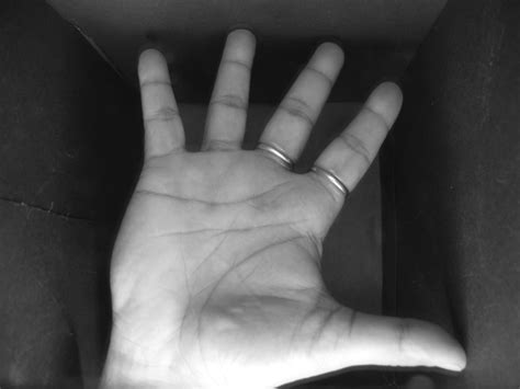 Iit Delhi Touchless Palmprint Database