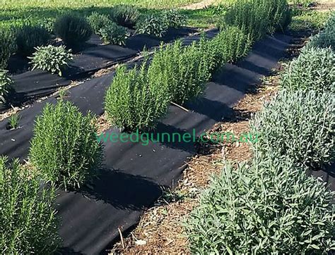 Weed Mat Weed Mat Weed Matting Degradable Weed Matting Organic Weed Control Australia