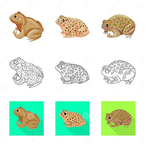 Vector Illustration Of Wildlife And Bog Symbol Set Of Wildlife And Reptile Stock Symbol For Web