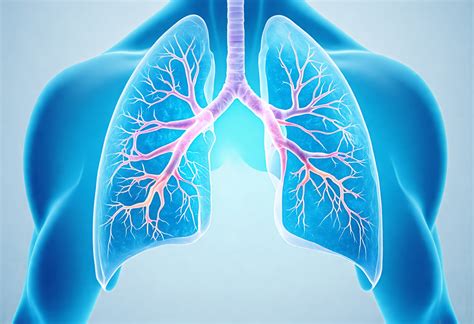 Lung Transplant And Osteoporosis What To Know Healthtrip