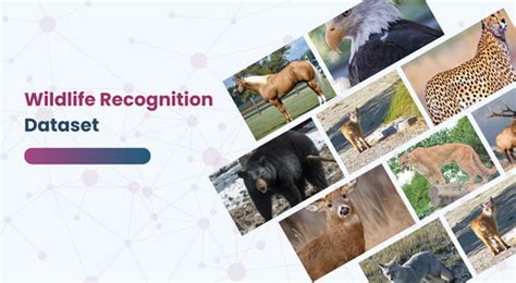Download High Quality Ai And Ml Datasets Gtsai