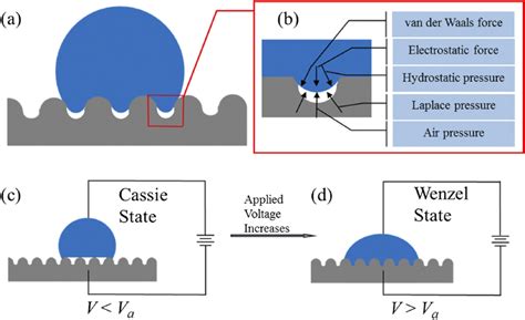 The Transition From The Cassie State To The Wenzel State A The Download Scientific Diagram