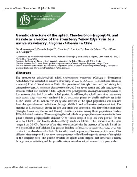 Pdf Genetic Structure Of The Aphid Chaetosiphon Fragaefolii And Its