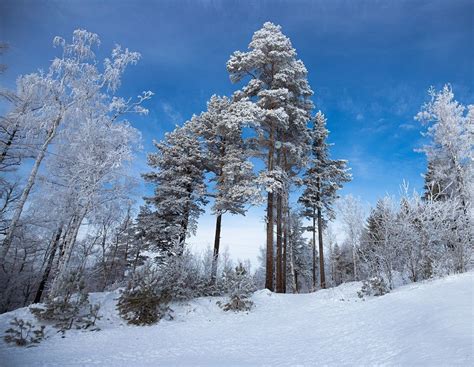 Siberia Reaches Record Temperatures Amid Worst Heat Wave In History