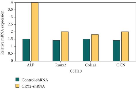 Qrt Pcr Was Conducted To Identify The Expression Degrees Of Ocn Alp Download Scientific