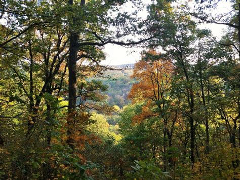 Beaver Creek State Forest Camping At Watoga State Park Htgg