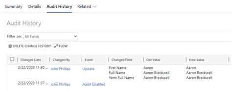Auditing Microsoft Dataverse Data Strategy 365 Limited