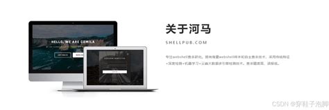 常见webshell后门查杀工具d盾 Csdn博客