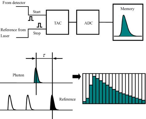 Principle Of Tcspc The Time Delay τ Between The Excitation Pulse And Download Scientific
