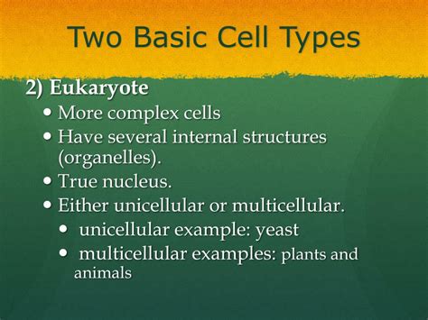 Ppt Introduction To Cell Theory Prokaryotes Vs Eukaryotes And
