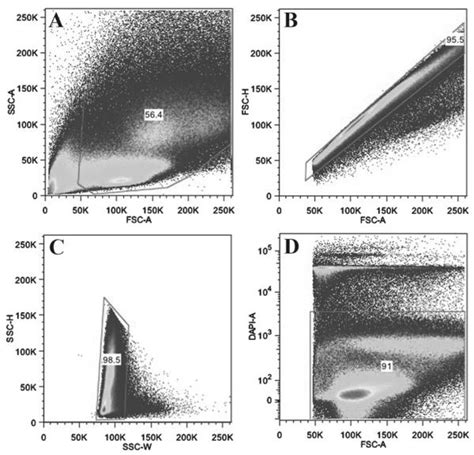 Isolation And Characterization Of Distal Lung Progenitor Cells Pmc