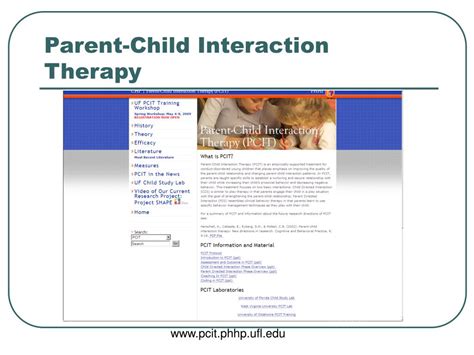 Ppt Evidence Based Practices For Externalizing Behavior Problems