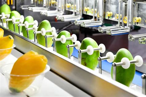 5 Steps To Optimize Your Sap Material Master Data For Business Success