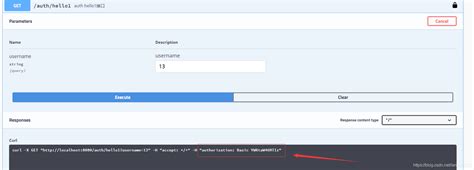 Swagger2 身份认证authenticatio（一）basicauthswagger Auth Csdn博客