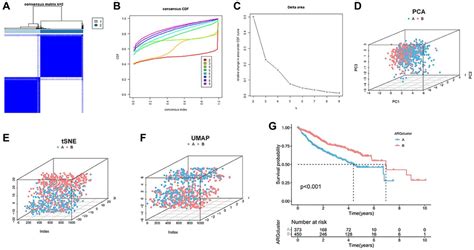 Figure 1 From Identification And Validation Of Slco4c1 As A Biological