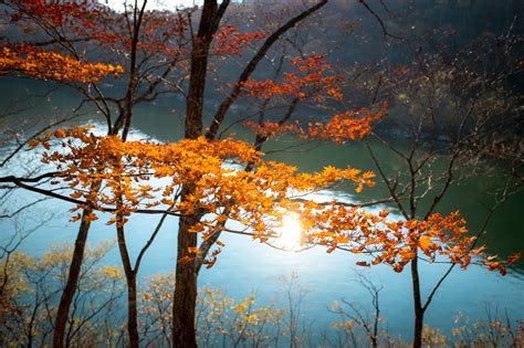 배경 화면 푸른 빨간 주황색 태양 일본 Fallcolors 가을의 색 후지 필름 나가노 제이슨 니