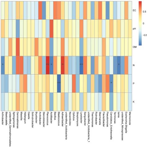 Correlation Heat Map Of Population Abundance And Environmental