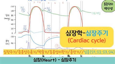 심장학 심장주기cardiac Cycle 등용성수축기박출기등용성이완기충만기심음s1 S2 S3 S4 Youtube