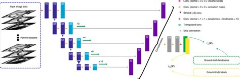 The Architecture Of The Segmentation Algorithm A Fcn Takes Each Stack Download Scientific