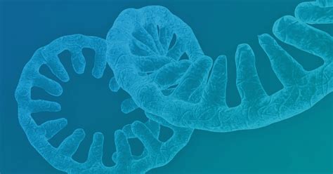 Sequencing 101 Whats The Value Of Sequencing Full Length Rna