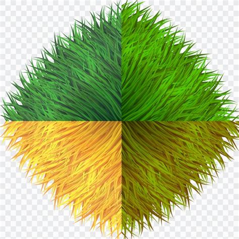 Premium Vector Set Of Realistic Grass