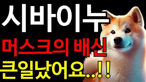 시바이누 Shib 믿었던 일론 머스크의 배신 보유자분들 큰일 났습니다 Youtube