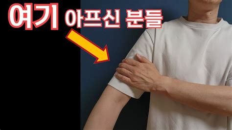 팔 통증 상완부 통증의 원인은 팔이 아닙니다 Feat 어깨통증 운동 건강 운동 건강
