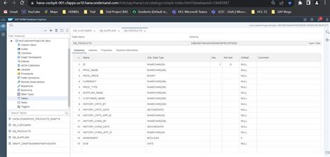 Developing Sap Fiori Element Application By Using Sap Community