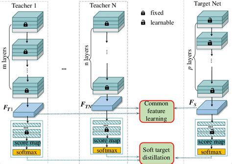 Illustration Of The Proposed Heterogeneous Knowledge Amalgamation Download Scientific Diagram