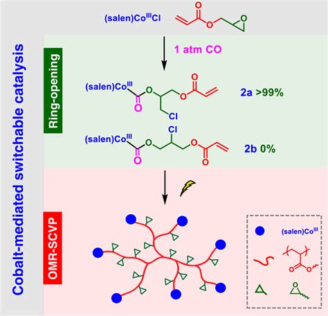 Reaction Diagram Visible Light Regulated Switchable Catalysis Of Cobalt Download Scientific