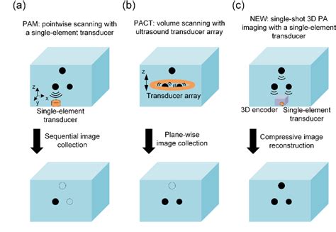 Figure 1 From Compressed Single Shot 3d Photoacoustic Imaging With A Single Element Transducer