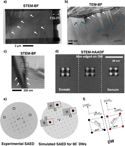 A Stem Bf Image Of A Fib Specimen Lamella Of Knn Sc B Tem Bf Download Scientific Diagram