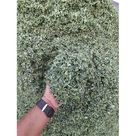 Dry Alfalfa Hay Grass Alfalfa Hay Material Dried Herb Form 98 Purity Green Color Ideal