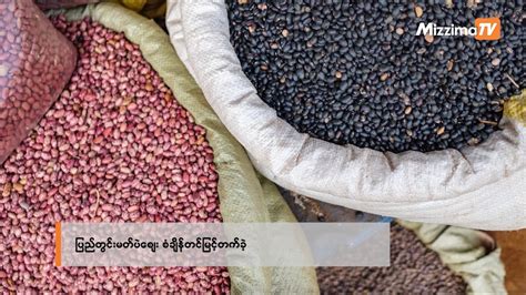 ပြည်တွင်းမတ်ပဲဈေး စံချိန်တင်မြင့်တက်ခဲ့ Business Roundup 27 10 2023 Youtube