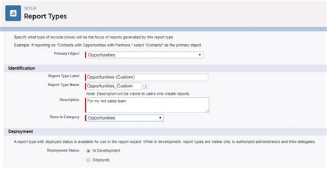 Create Great Salesforce Reports Through Custom Report Types Lognostics