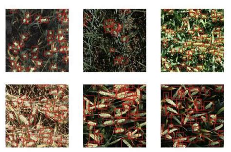 极市开发者平台 计算机视觉算法开发落地平台 极市科技