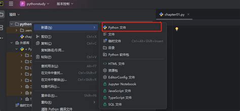 Python自动化之selenium语句——打开、关闭浏览器和网页selenium 打开网页 Csdn博客