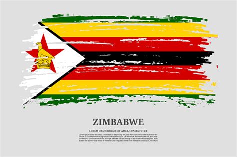 브러시 스트로크 효과와 정보 텍스트 포스터 벡터와 짐바브웨 플래그 짐바브웨 국기에 대한 스톡 벡터 아트 및 기타 이미지